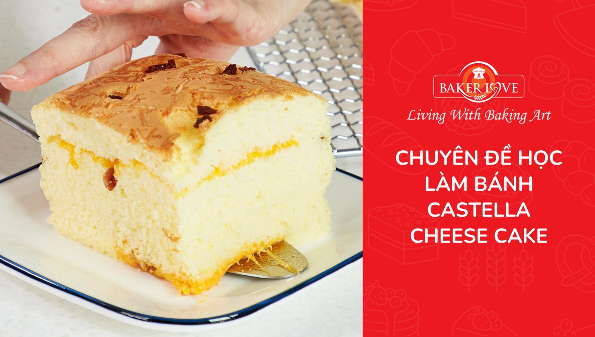 Khóa học làm bánh castella cheese cake – BakerLove.vn