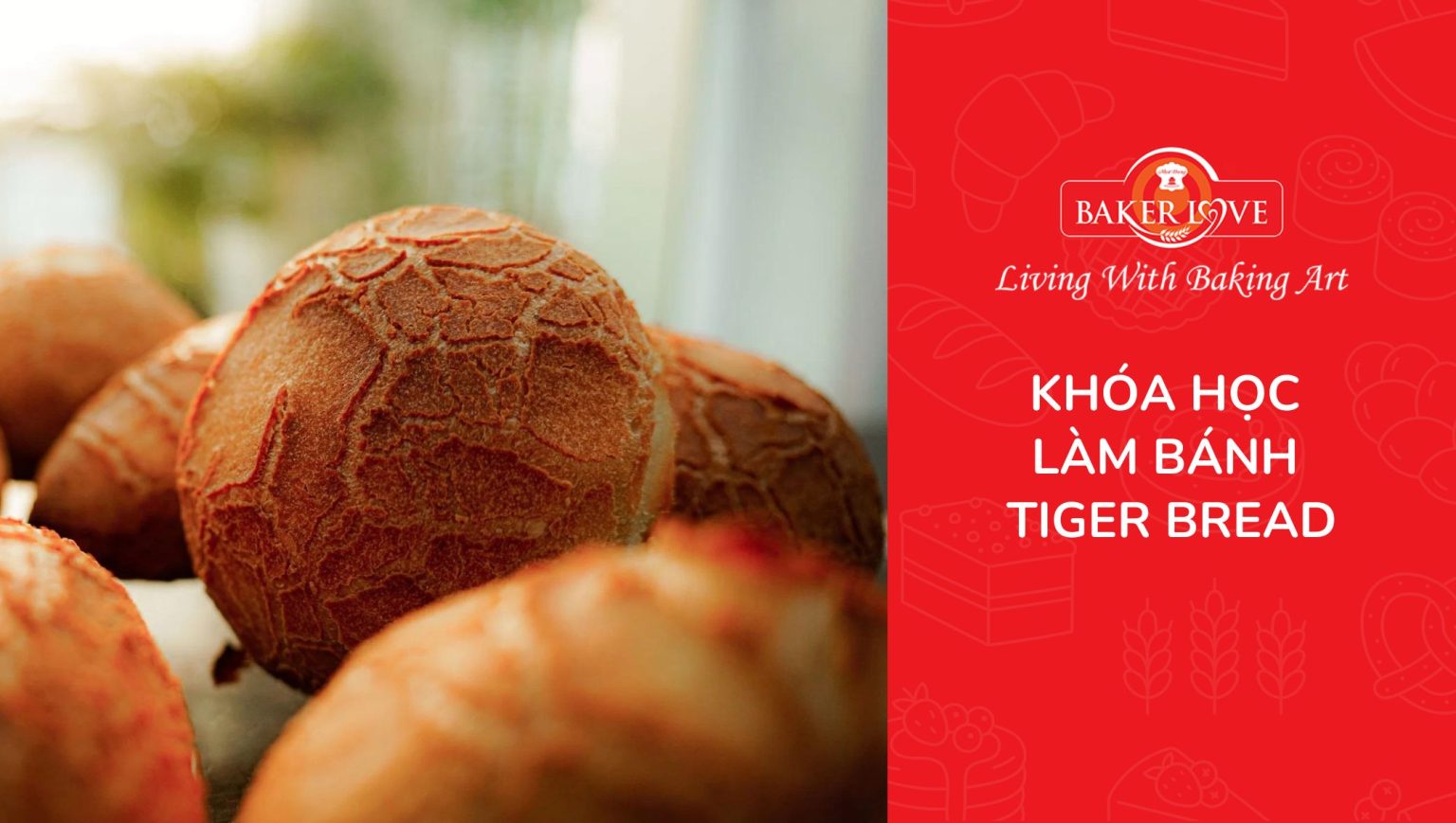 Khóa học hướng dẫn làm bánh tiger bread – BakerLove.vn